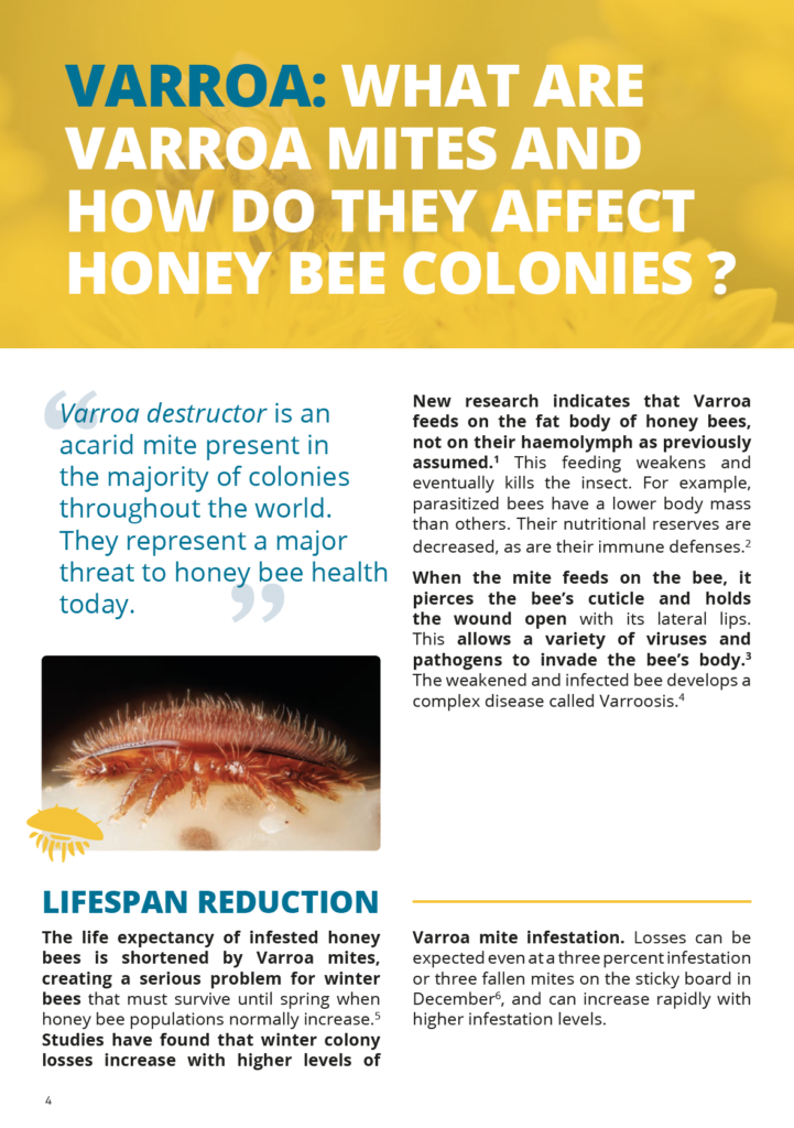 Veto-pharma Updates its Varroa Guide for 2019 - Veto Pharma Blog