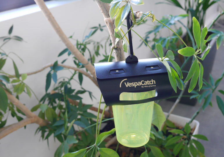 It’s here! The new VespaCatch hornet trap available in stores - Veto ...
