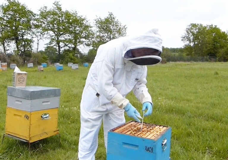 Apivar Tutorial Video: how to properly use Apivar strips? - Veto Pharma ...