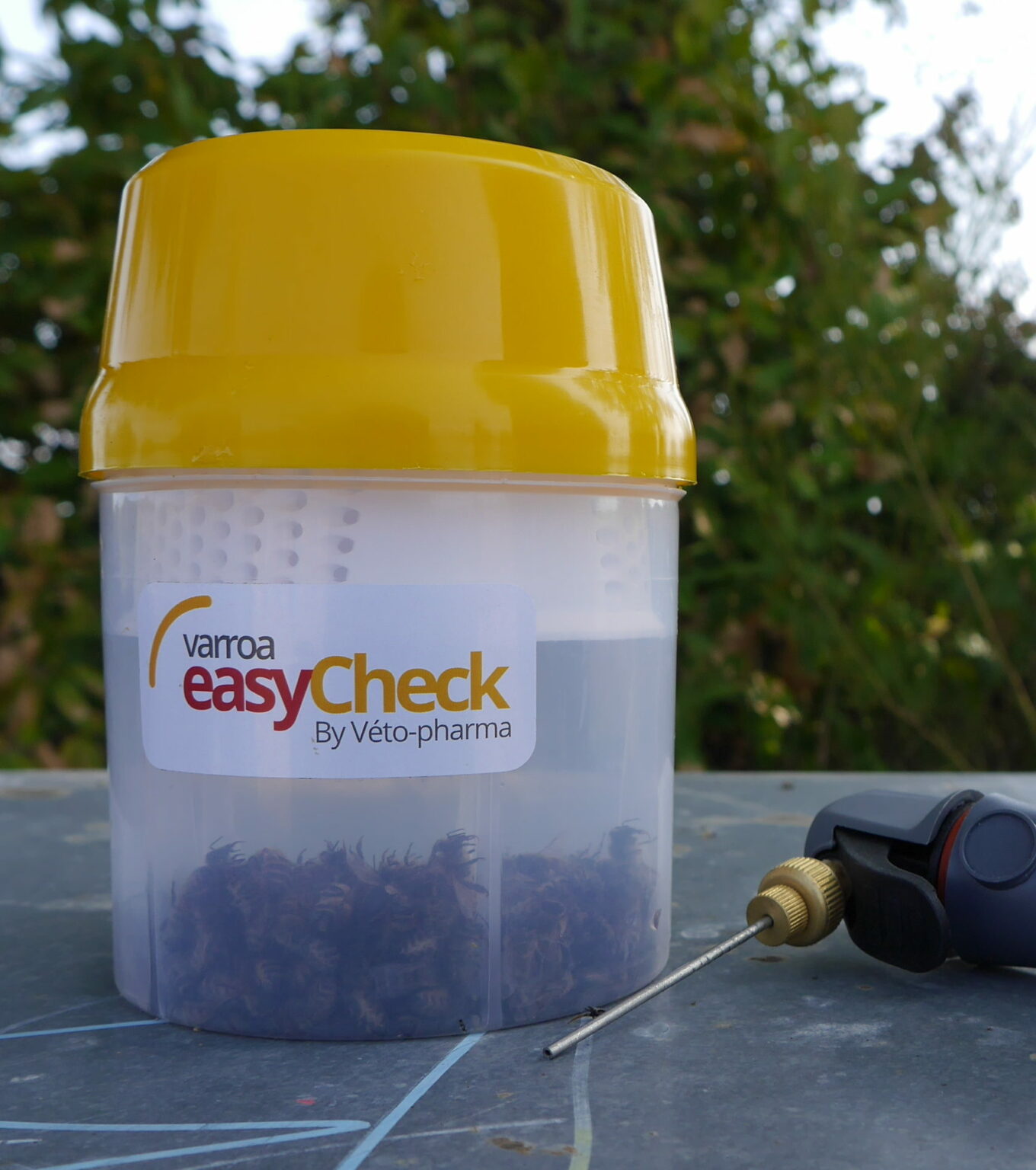 Varroa EasyCheck: now available in a "3 in 1" version - Veto Pharma Blog