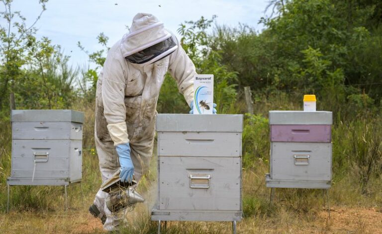 Bayvarol : traitement de rotation contre varroa - Blog Véto-pharma