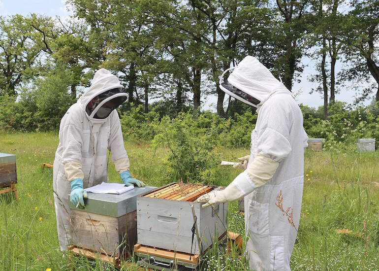 How trials are conducted at the Véto-pharma apiary - Veto Pharma Blog